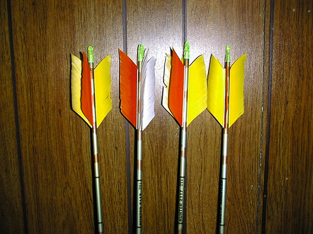 Specialty Arrows – Susie's Archery
